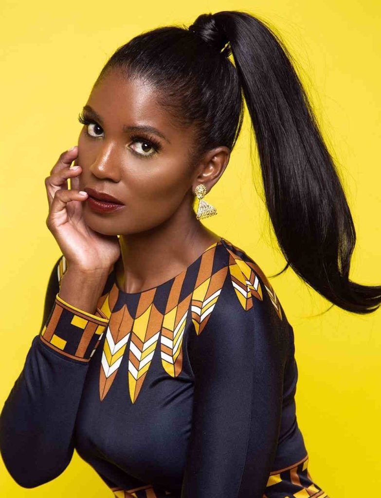 Denise Boutte Biography, Age, Height, Husband - mrDustBin